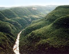 Domínio na rede: Domínio Mares de Morros