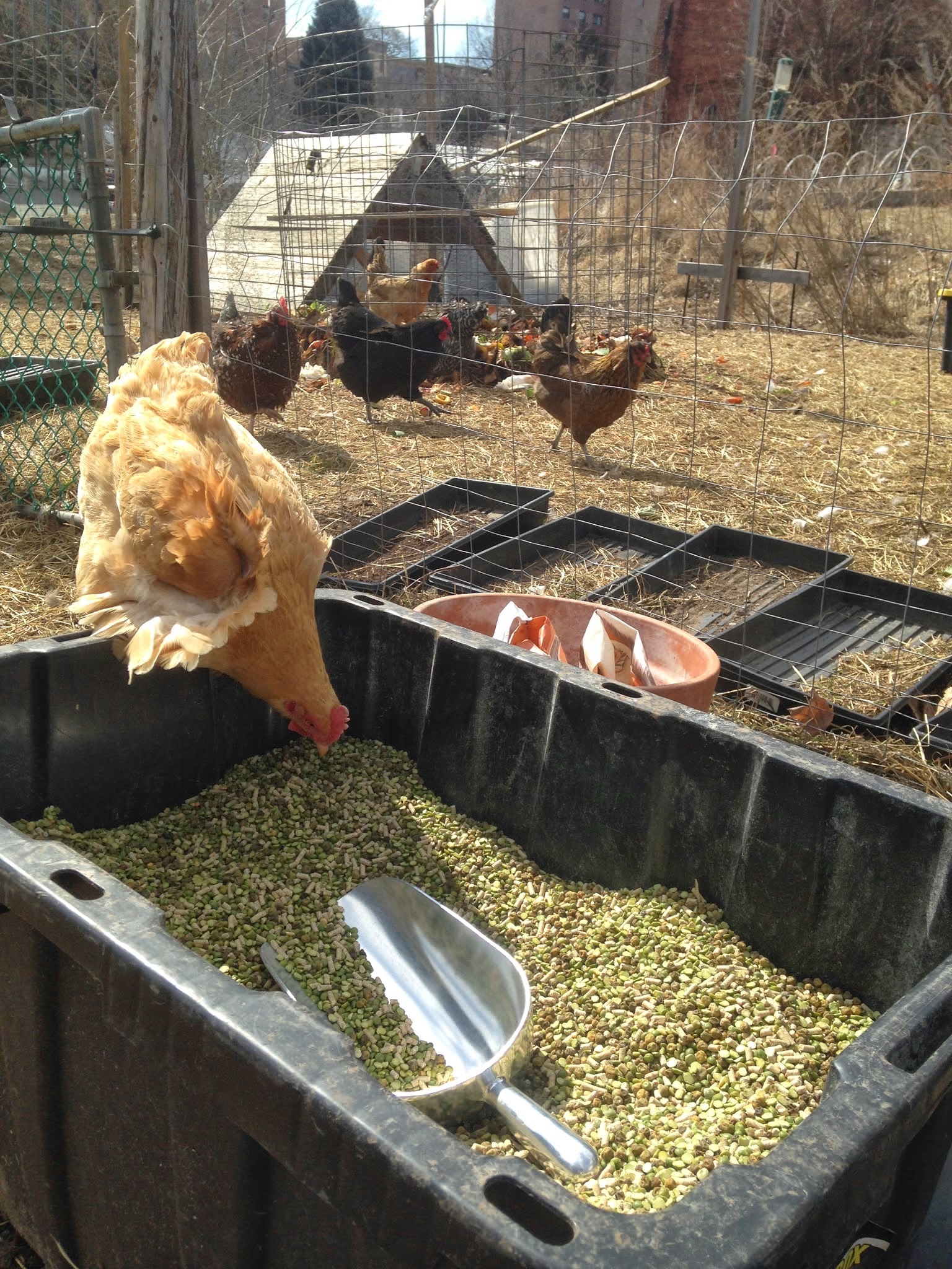 Compost Columns: Urban Compost