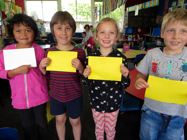 Room 3 Firth Primary School: 2016