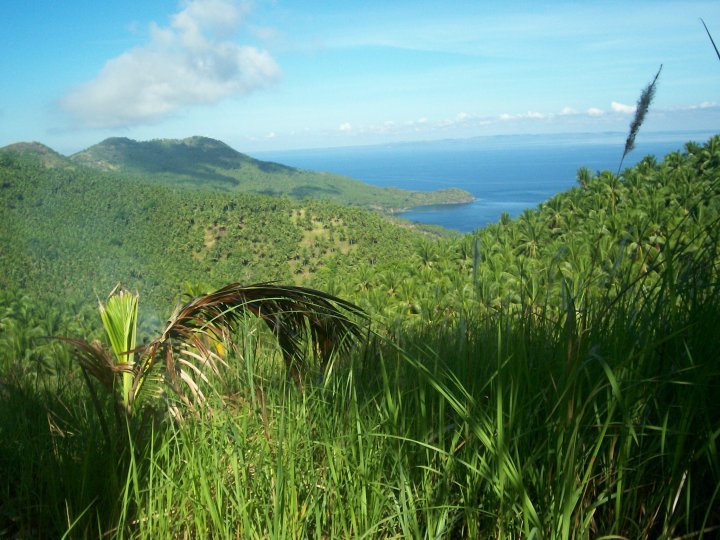 Its More Fun In ALmagro Samar Island: Its More Fun In Almagro Samar Island