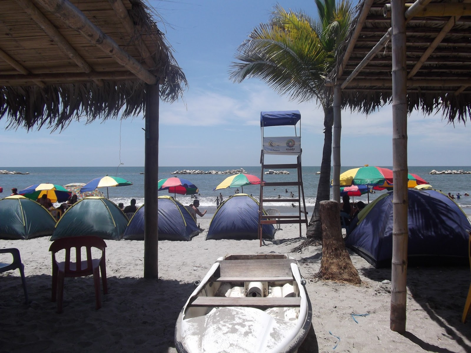 AAA LIVING IN CUENCA: Trip to Machala, Ecuador - the banana capitol of ...