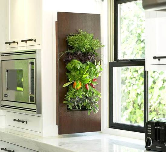 ΤΑΡΑΤΣΟΚΗΠΟΣ...Ο ΚΗΠΟΣ ΤΩΝ ΠΟΛΕΩΝ: Πράσινος τοίχος η κάθετος κήπος ...