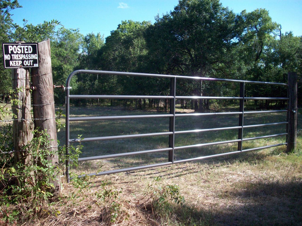 We Love Texas: Purple Paint