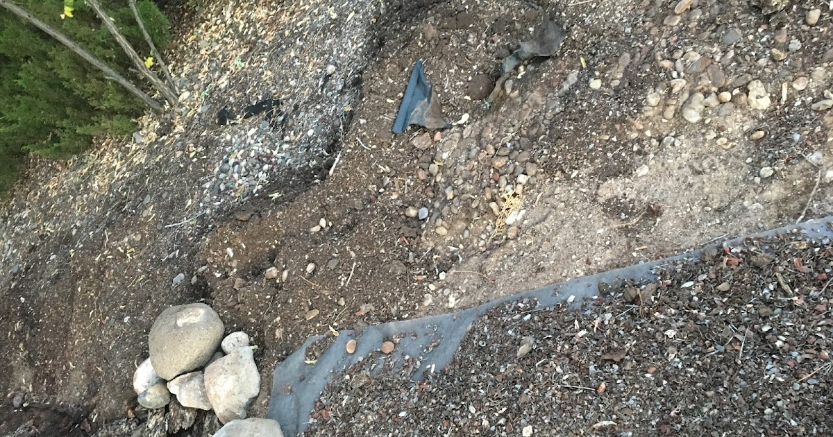 Reluctant Rebel: The Zen of Picking Rocks