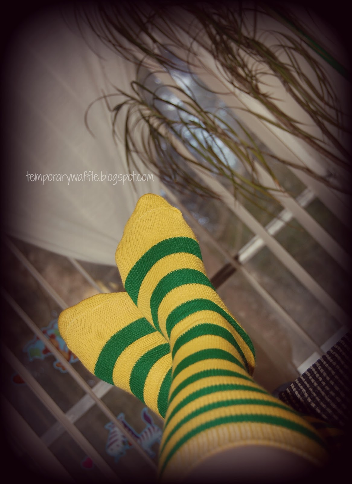 Temporary Waffle: Campbell's Slow Kettle Soups + Socks Review