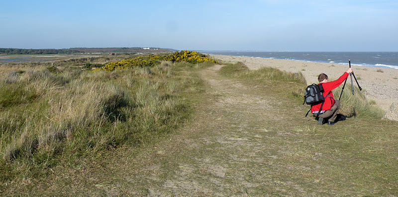 Wild and Wonderful: Beautiful Birds (30): RSPB Reserve Minsmere ...