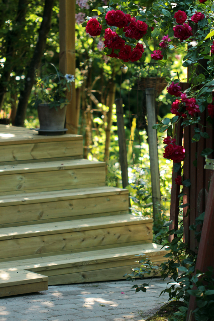 Trappa ner och trappa upp