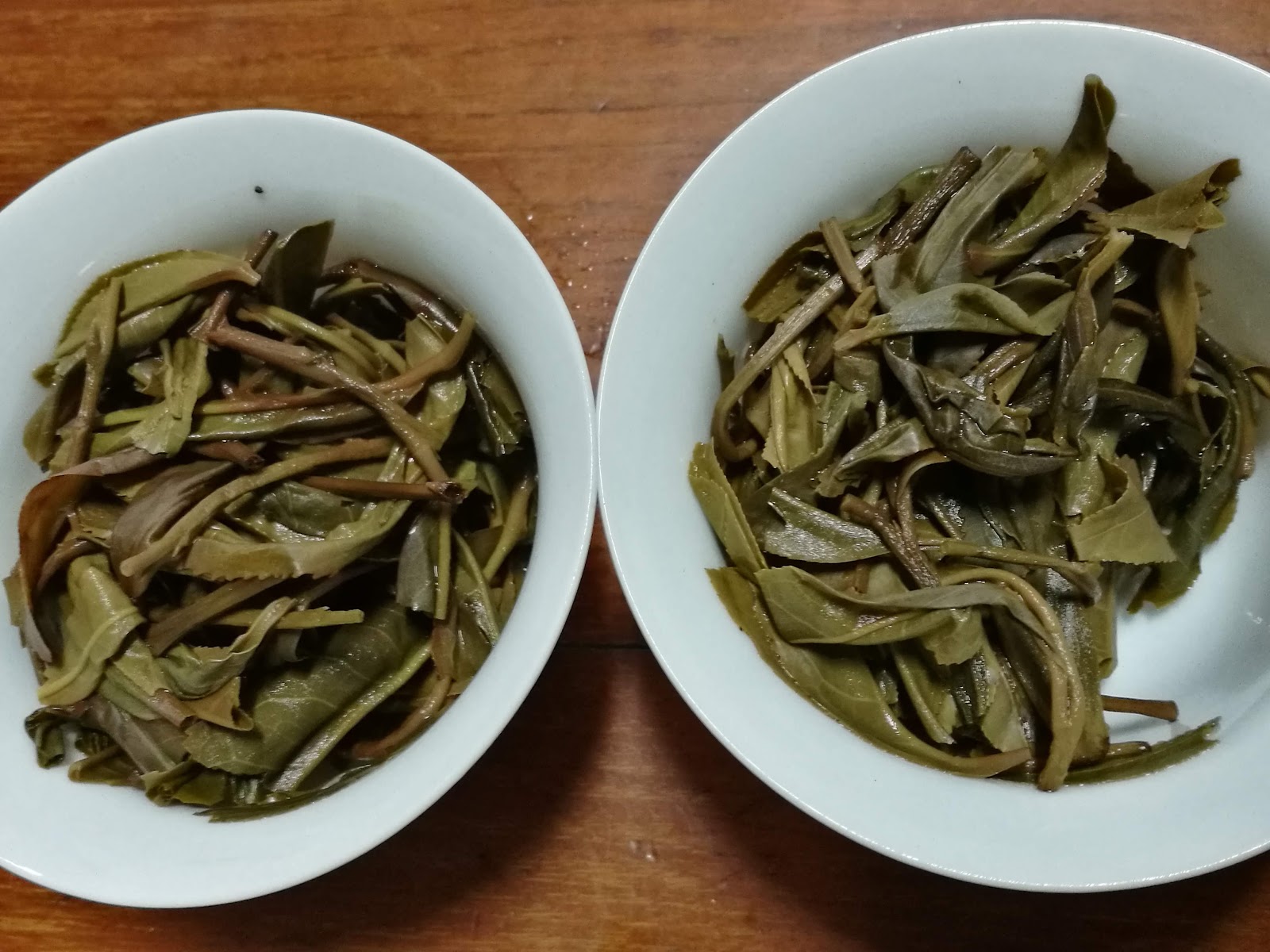Tea in the ancient world: Blind Yiwu sheng tasting, comparing two ...