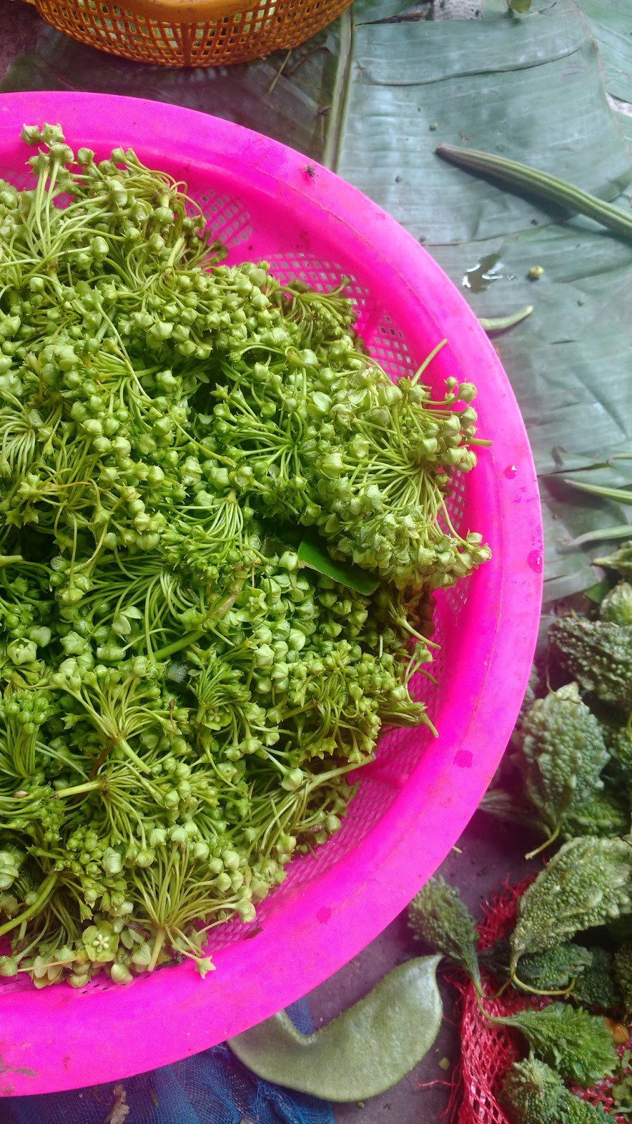 euphoRHEA: Sukto with Jukti Phool