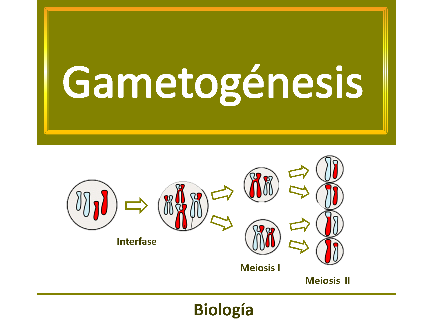 Biología & Geología