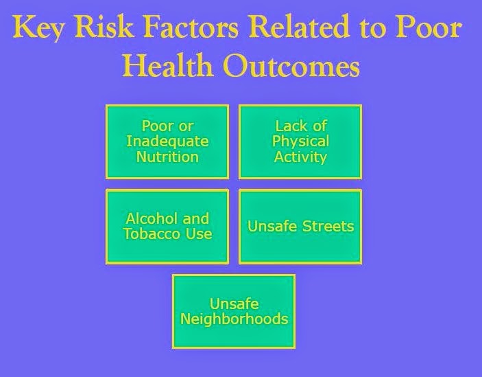 My America: Community Wellness Workshop Report 2011