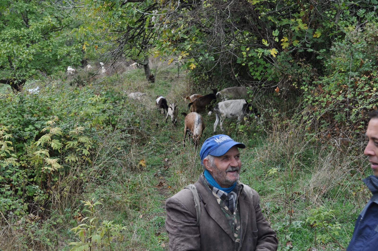 Our Adventure: A Quick Trip to Macedonia