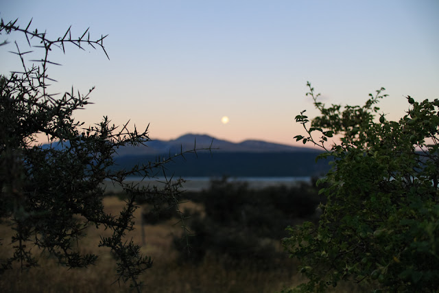 ink + adventure: Mount Cook and the "perfect" campsite