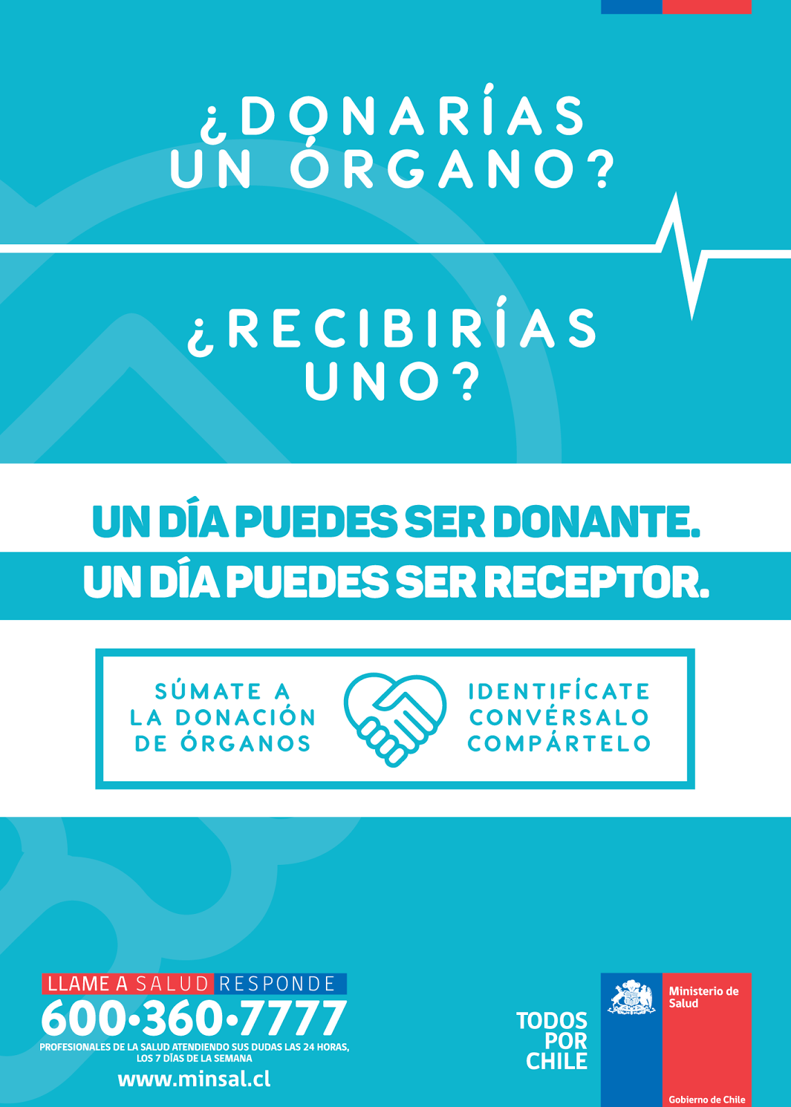 Trasplante y Procuramiento Renal: ¿Qué órganos podemos donar en Chile ...