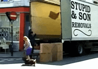 Funny videos and funny gifs: Do your movers know what they're doing?