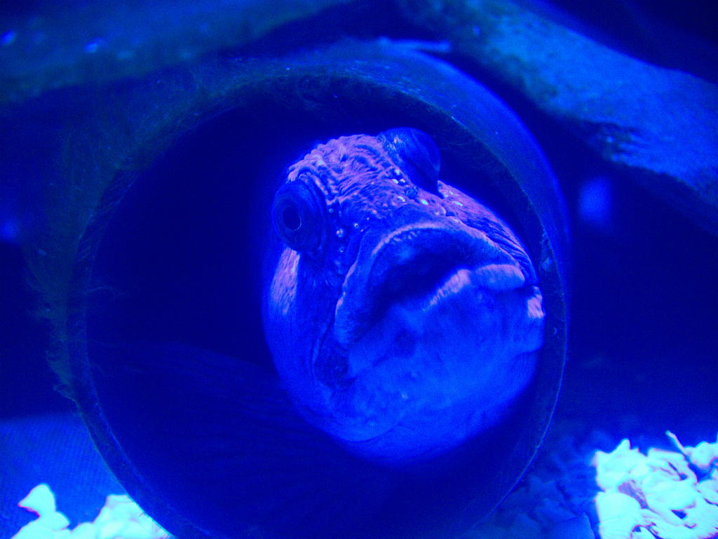 Året rundt med RandiAa: Liverpool - Revisited: Easter 2013 - The Cavern ...