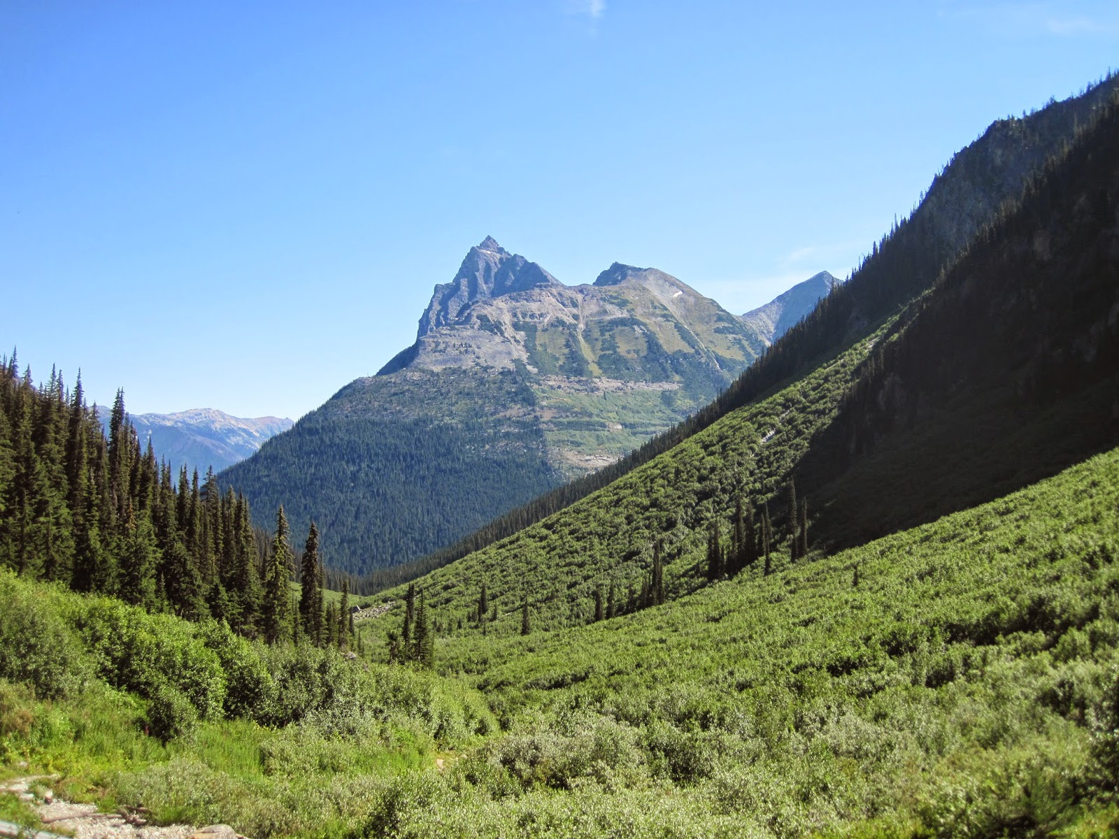 Wanderlust: Balu Pass: Glacier National Park