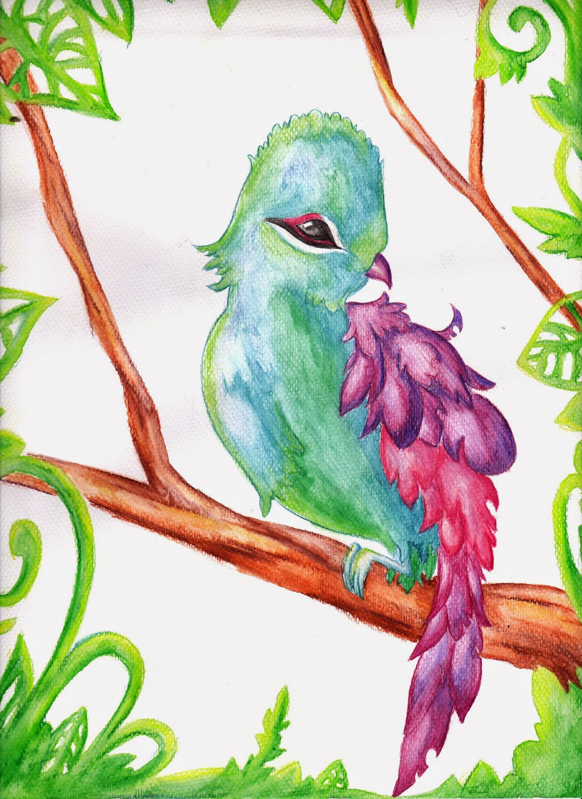Illustrationen Ernestine: Green Crested Turaco Bird