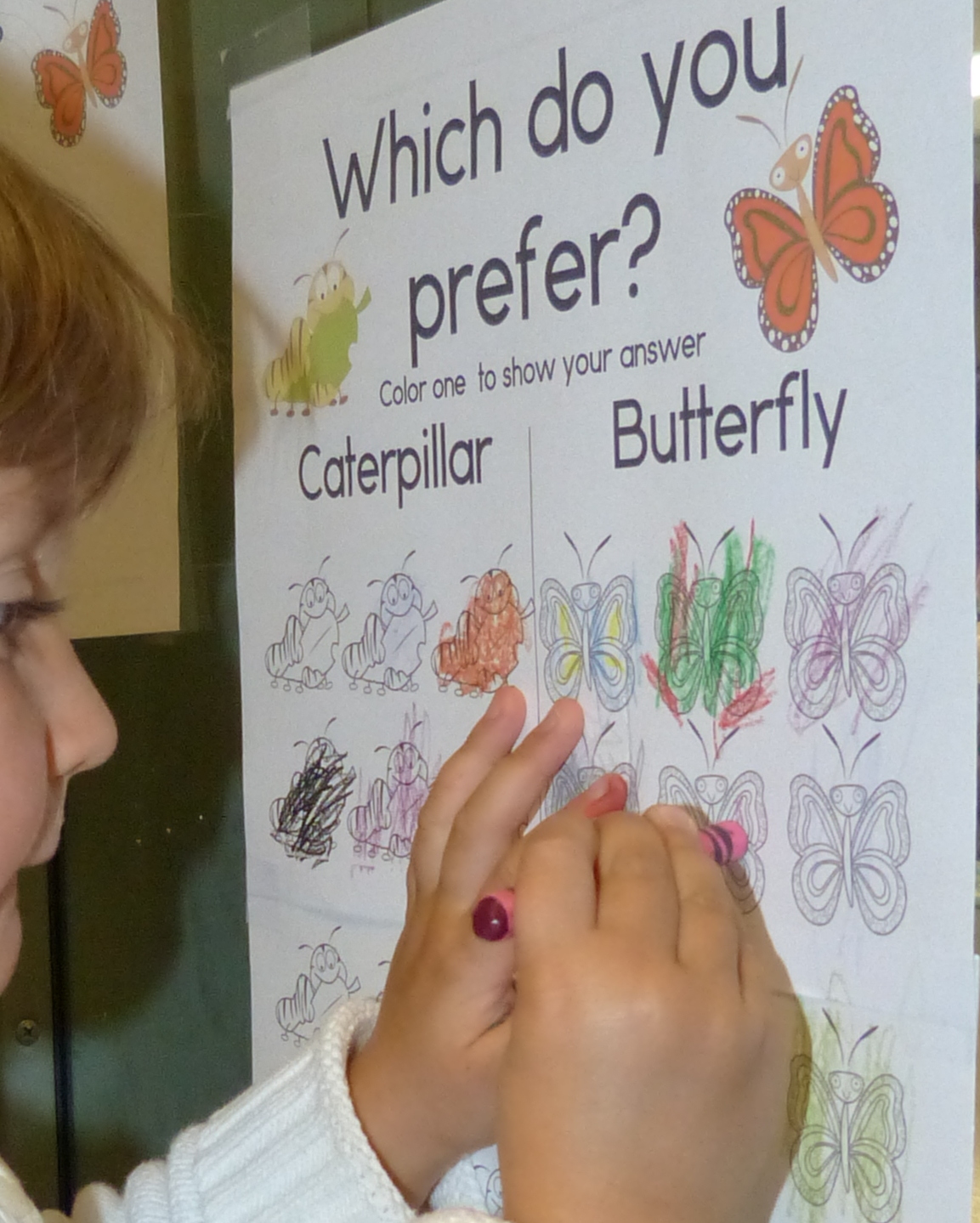 Paula's Primary Classroom: Butterfly Learning at Story Time
