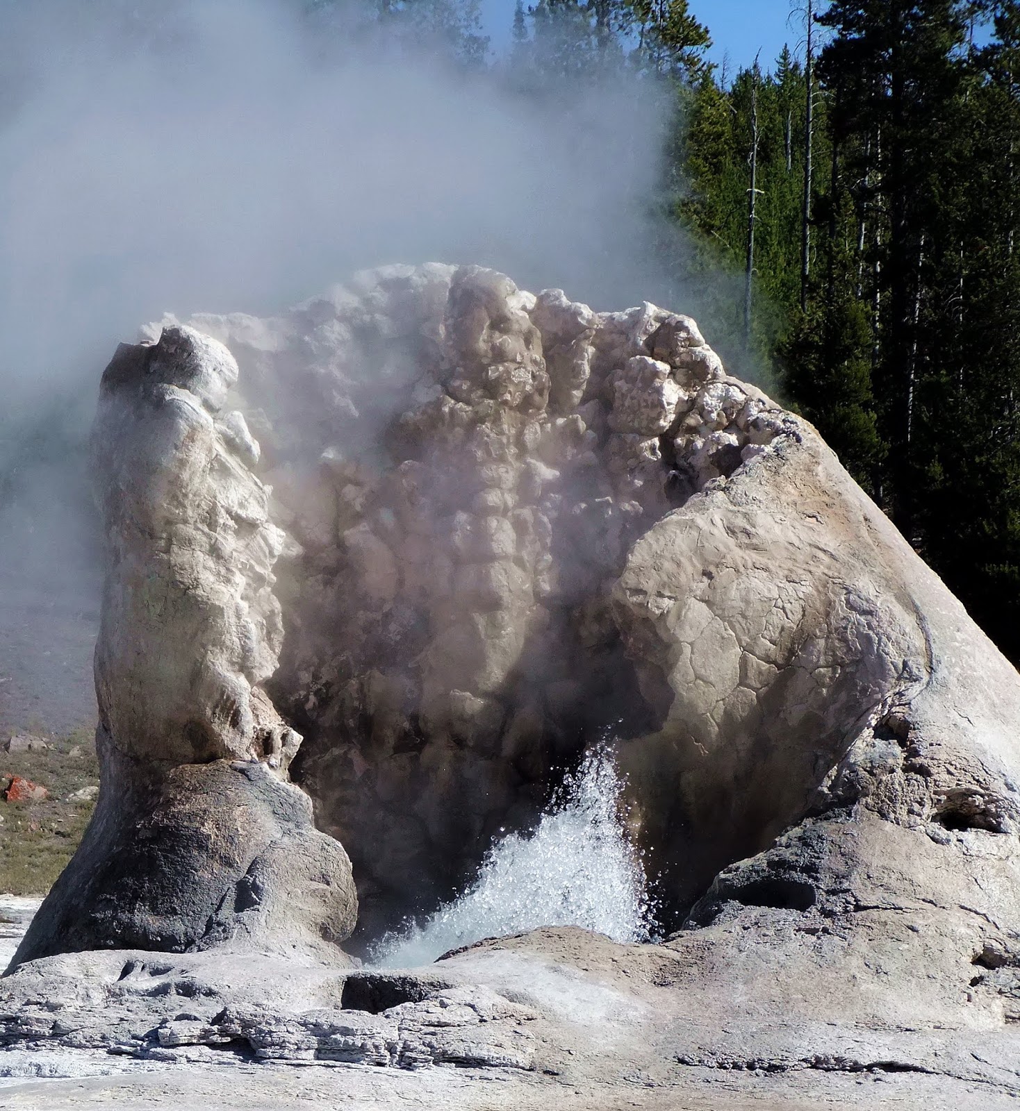Focusing On Travel : Yellowstone: A Geyser Gazers Guide to the Upper ...