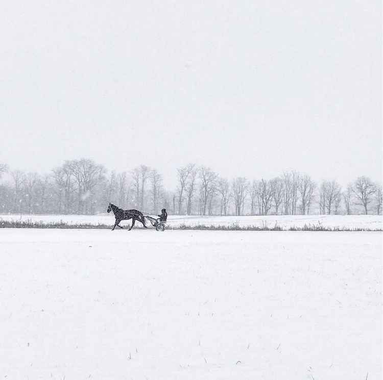 Angie Wendricks's beautiful white farmhouse