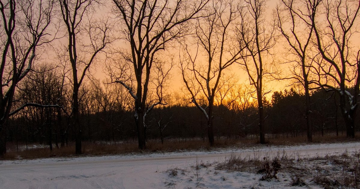 Eric's Hikes: North Country Trail between Middleville and Barry State ...