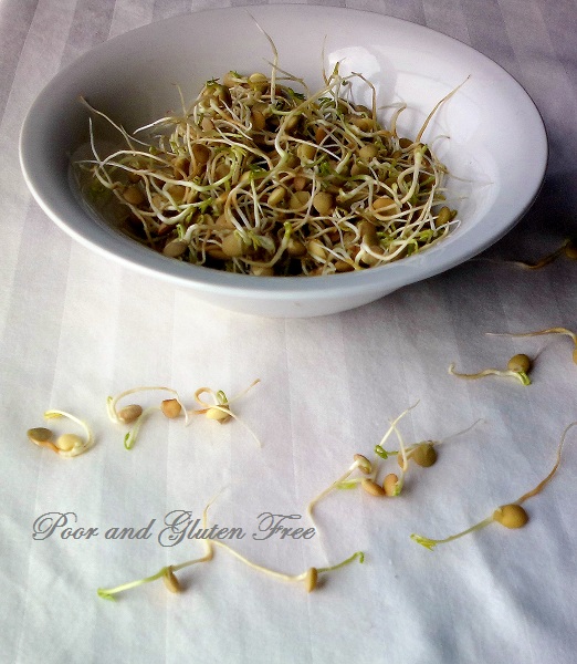 Poor and Gluten Free (with Oral Allergy Syndrome): Celiac Disease ...