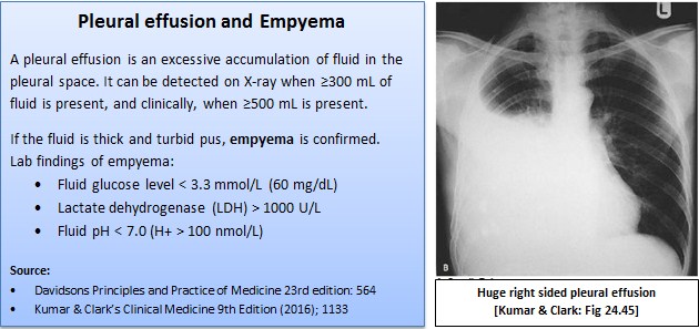 What are the causes of low pH and low glucose pleural effusions?