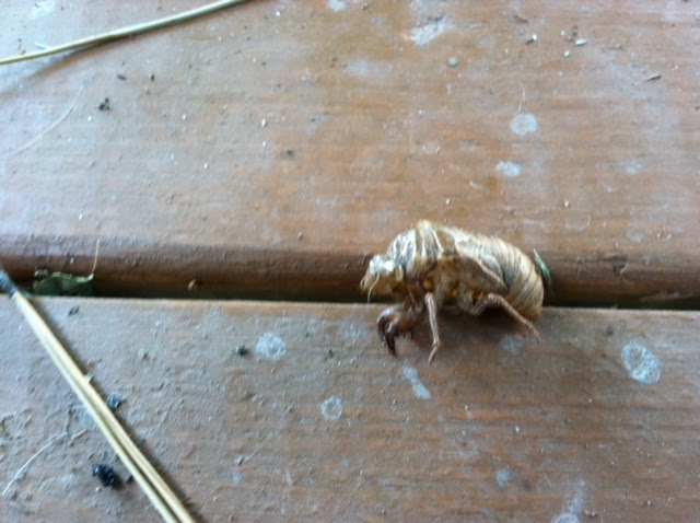 Preschool Activity Ideas | Toddler Activity Ideas | Mommy With ...