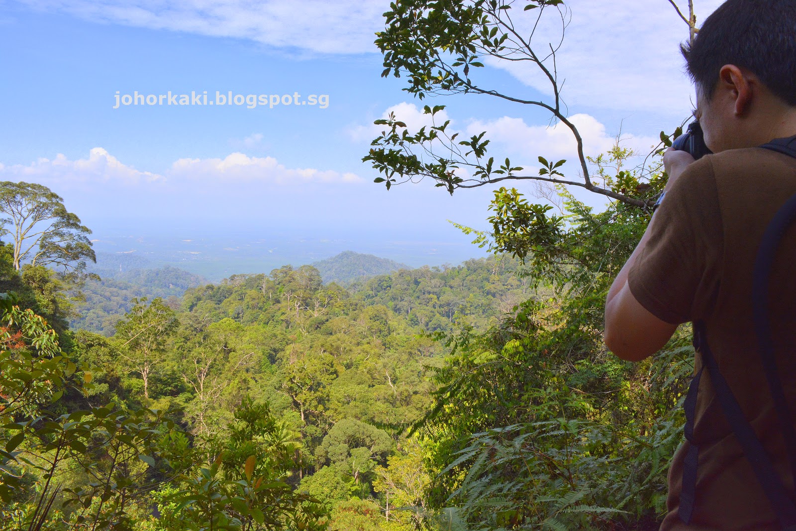 Trekking at Hutan Lipur Gunung Pulai Recreational Forest in Johor ...