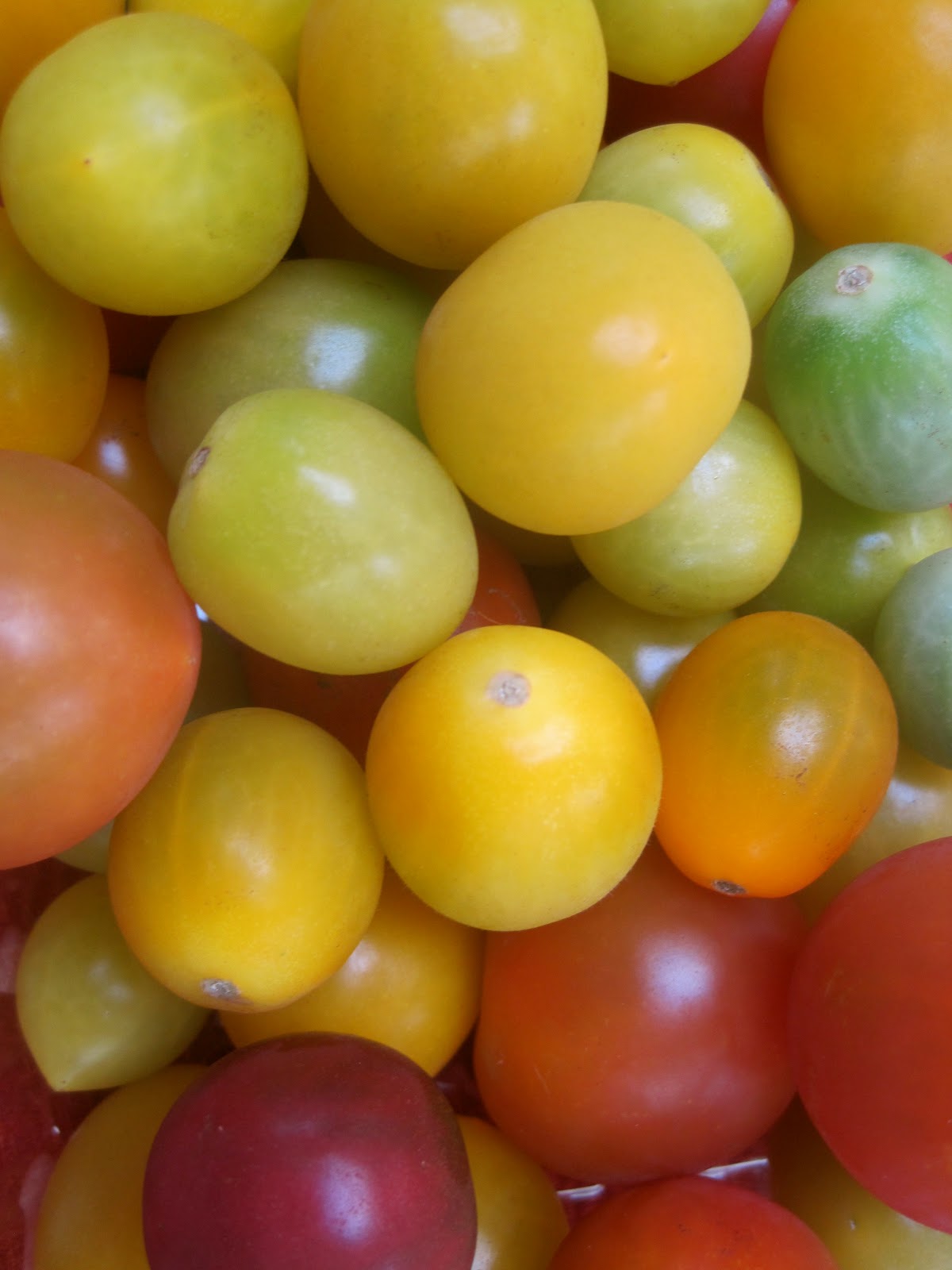 Tomato, Cucumber & Onion Salad with Feta Cheese: Real Convenience Food