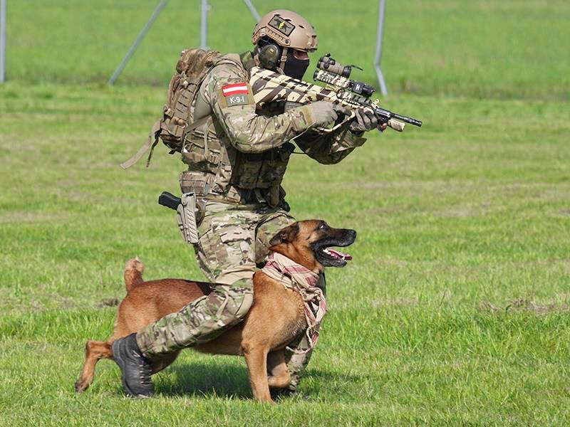 Austrian Jagdkommando K9 unit during a demonstration, 2013. | WEAPONS FREE