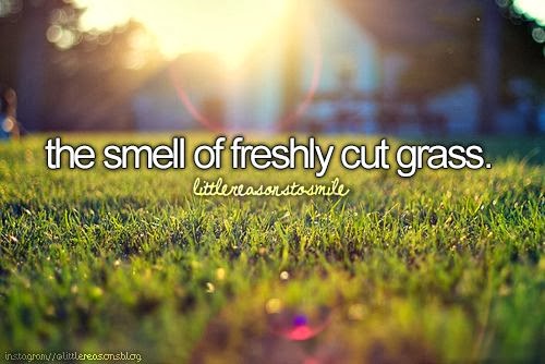 powerful.eclectic.dreams: Freshly Cut Grass