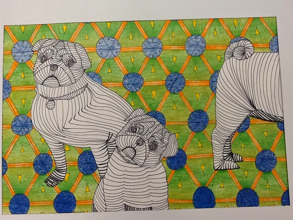 Middle School Contour Drawings