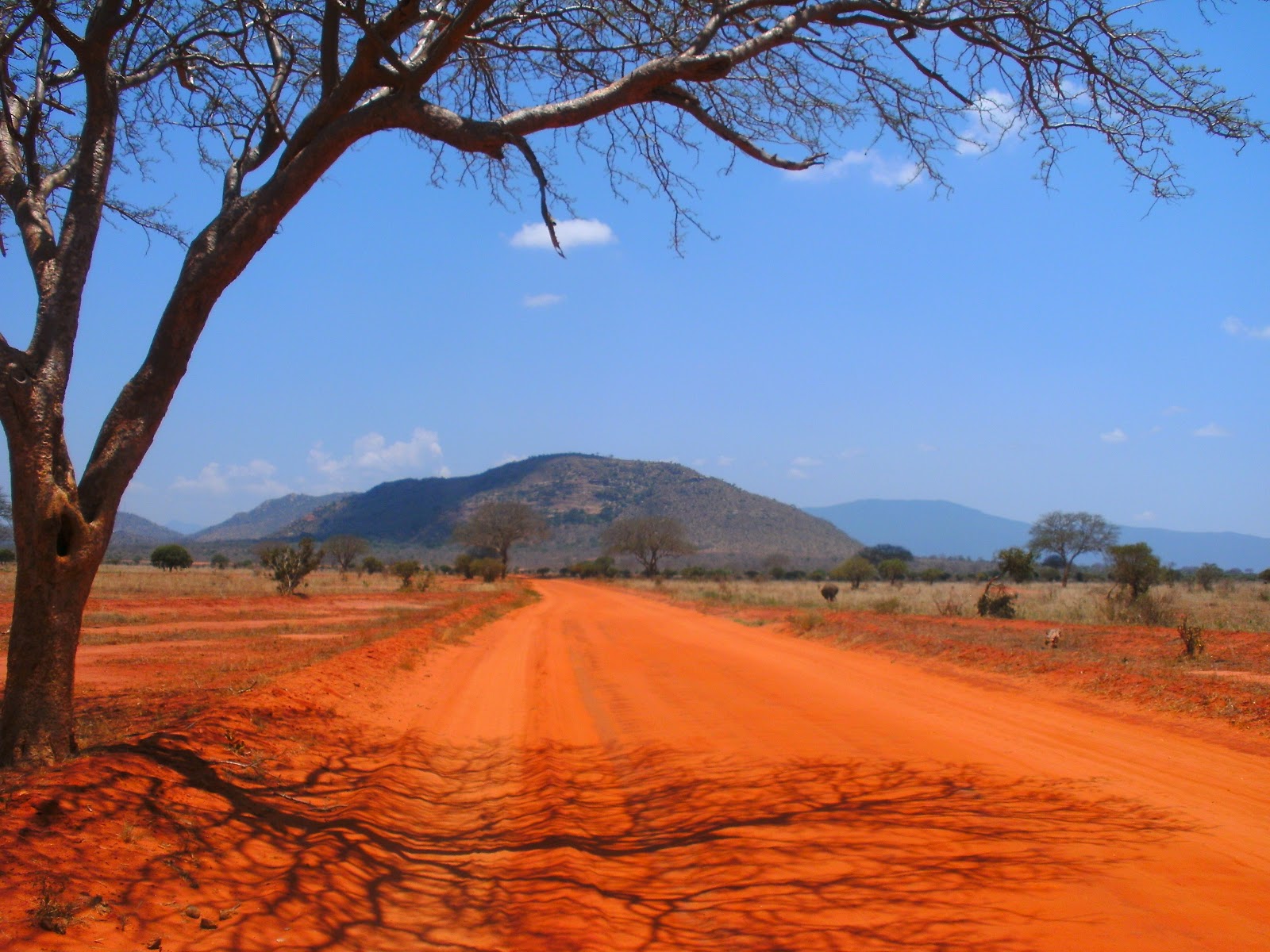 Jambo na karibu - Andi katika Kenya: Ein Kapitel geht zu Ende; ein ...
