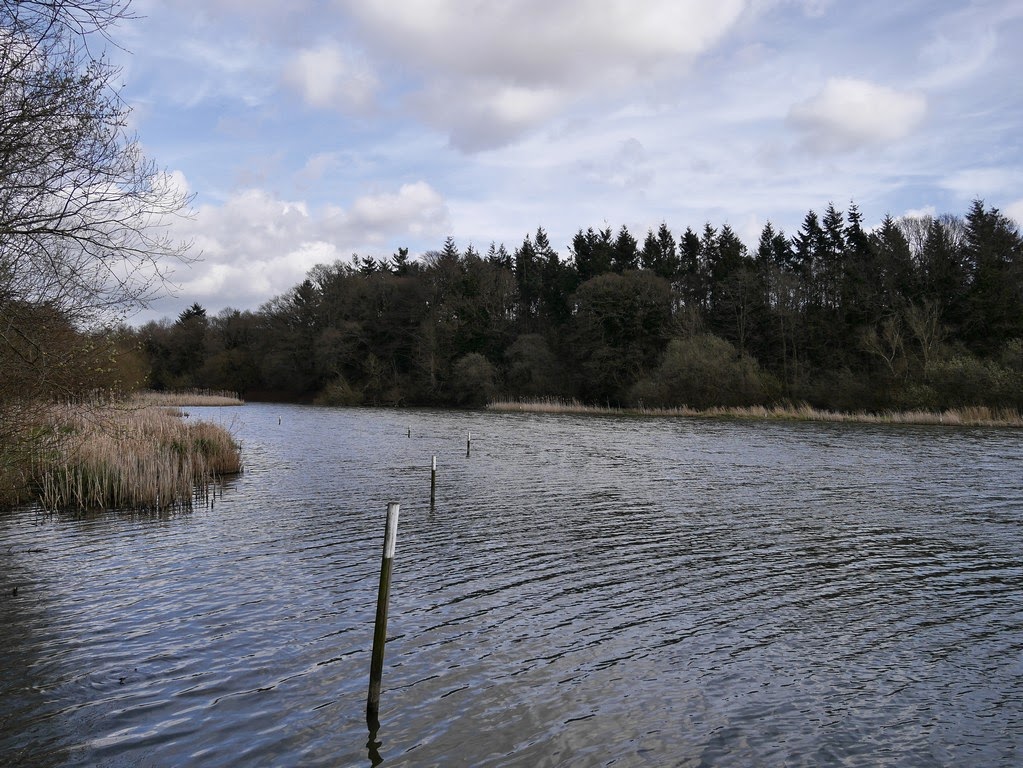 thequacksoflife: Warnham Nature Reserve