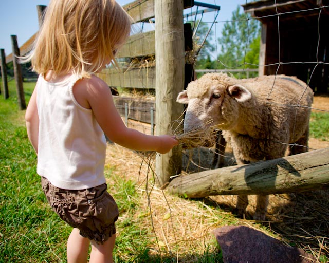 The World According to Evie: Eidem Homestead