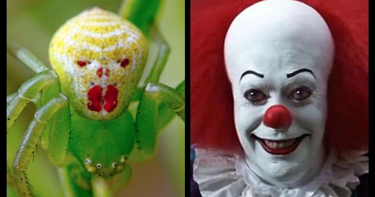 Pennywise The Spider