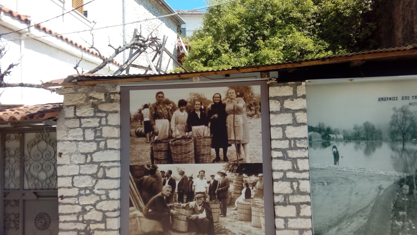 ΑΔΕΛΦΟΤΗΤΑ ΖΙΤΣΑΙΩΝ ΗΠΕΙΡΟΥ "ΔΗΜΗΤΡΙΟΣ ΝΙΚΟΛΙΔΗΣ": AΝΑΜΟΡΦΩΣΗ ΑΓΟΡΑΣ ...