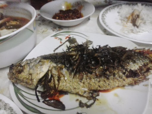 GOLDENSON Pancing Amatur Penang: Ikan Belanak - Mullet