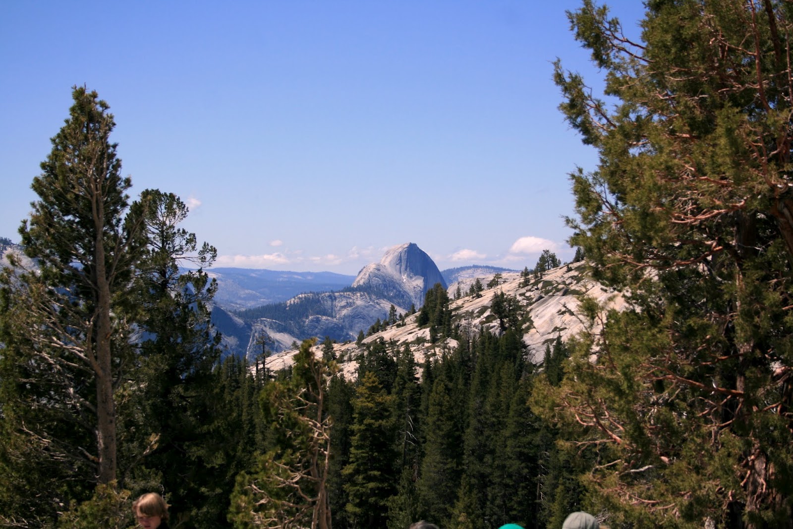 Stillhowlyntravels: Tioga Pass & Upper Yosemite Nat'l Park