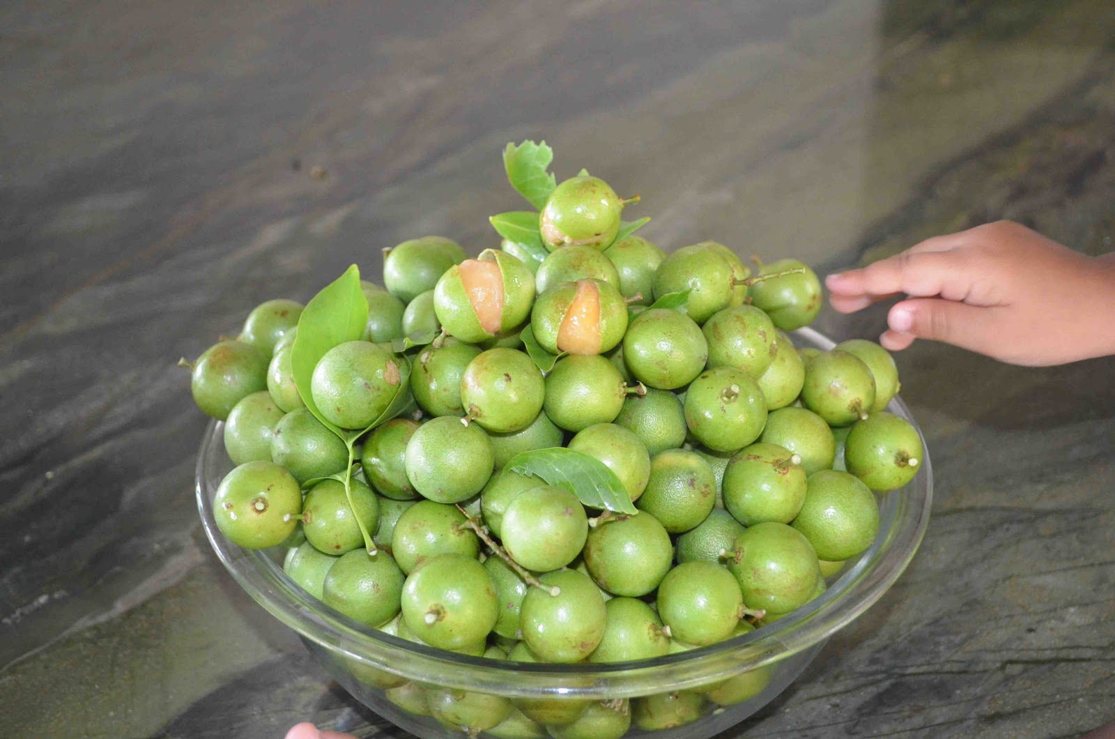 Caribbean Chic Living by Cristina Canizares: How to Make Genip Juice