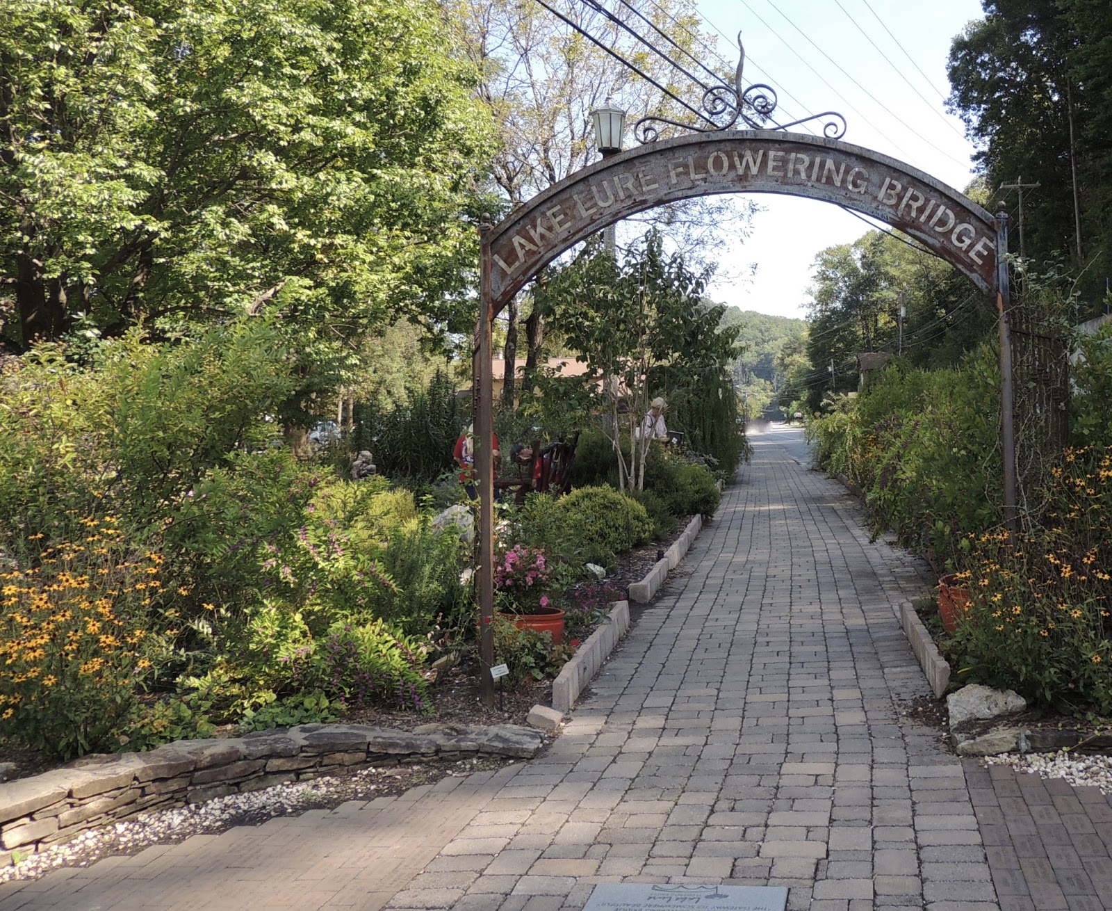 A Visit to the Lake Lure Flowering Bridge in North Carolina