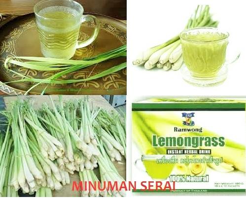Serai Dan Minuman Serai Yang Berkhasiat - blog santai-santai jerr!