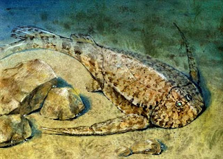 Life Before the Dinosaurs: Bothriolepis.