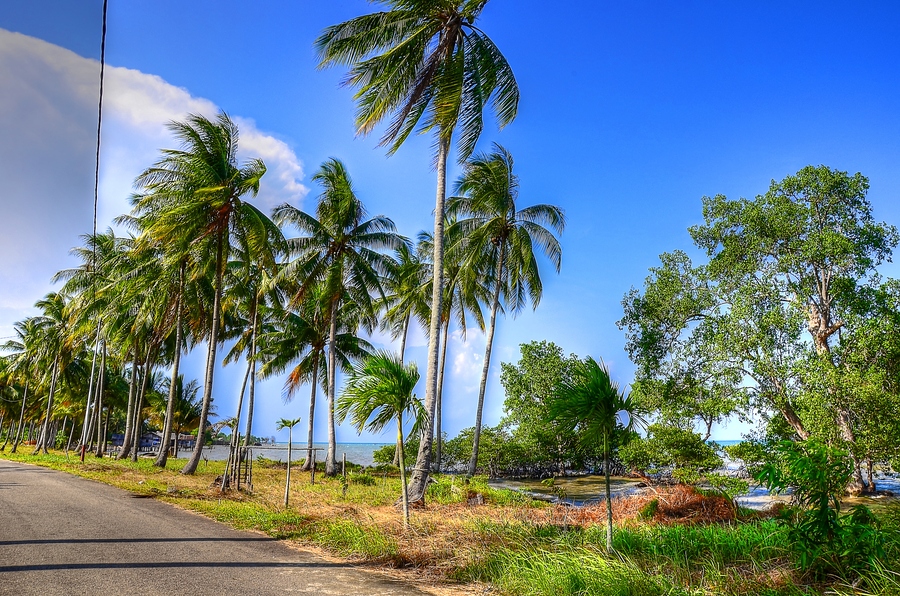 Rempang Island | Indonesian Travel Place