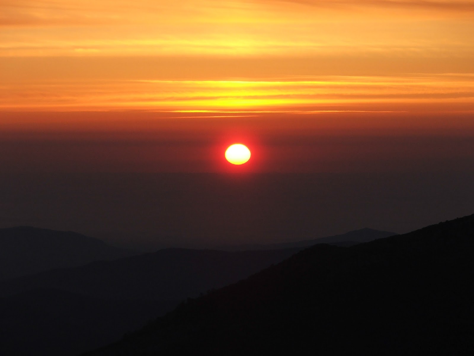 POLLINOFANTASTICO: Tra un'alba e un tramonto