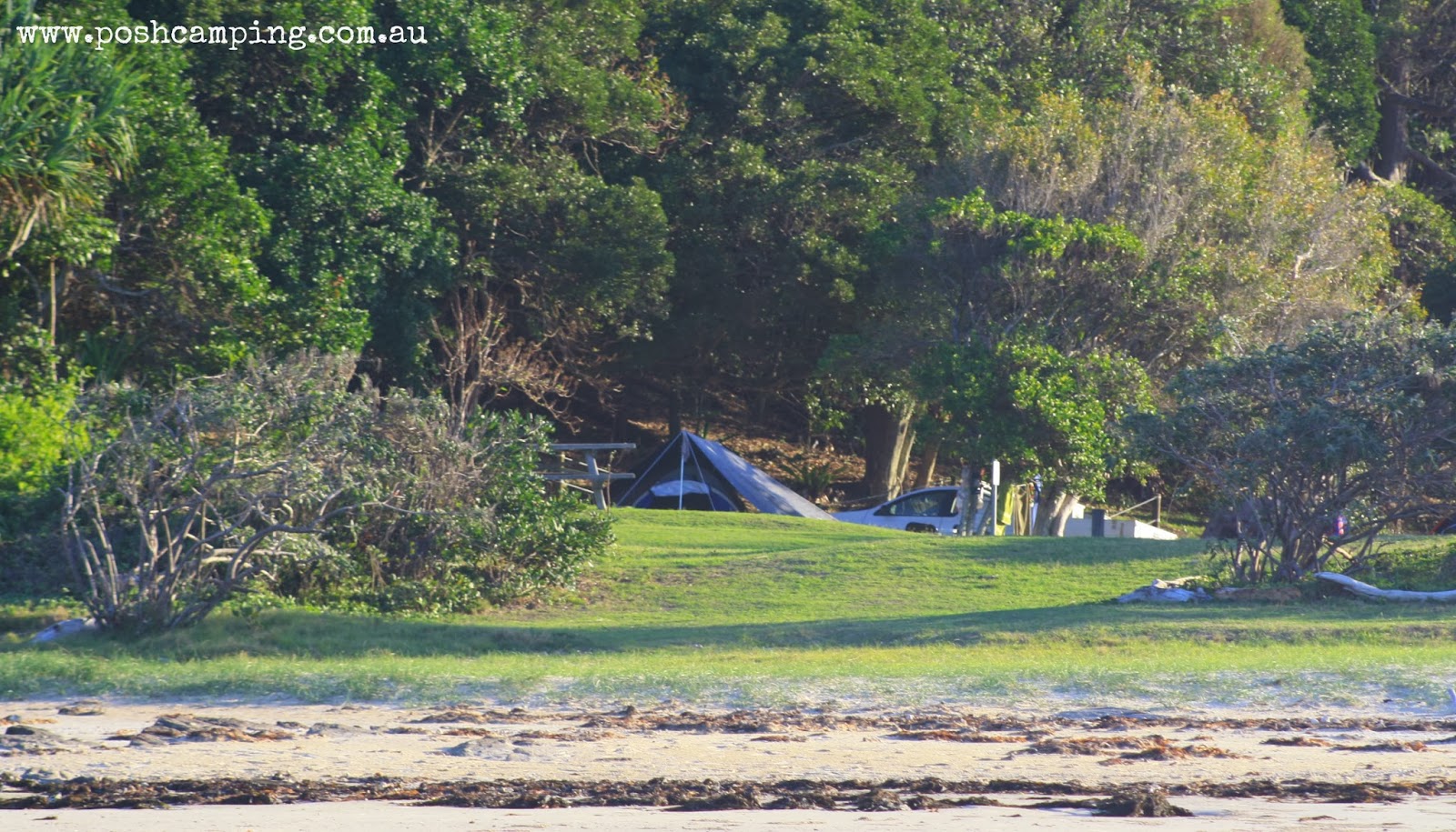 Posh Camping Australia: Woody Head Camping Ground Bundjalung National ...