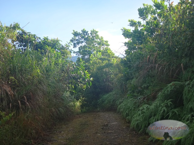 Day 1: Mt. Tapulao, Palauig, Zambales (Overnight Hike) - celebraTINg ...