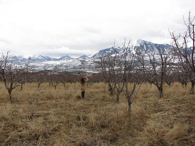 Eluvian: Artist Retreat House: Elsewhere Studios, Paonia, CO